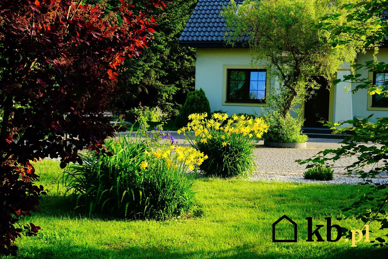 Gdzie najlepiej budować dom? Jak wybrać działkę, żeby cieszyć się ...