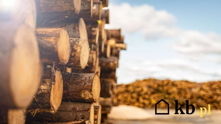 Wystarczy jeden błąd i opał na cały sezon jest do wyrzucenia. Wielu ...