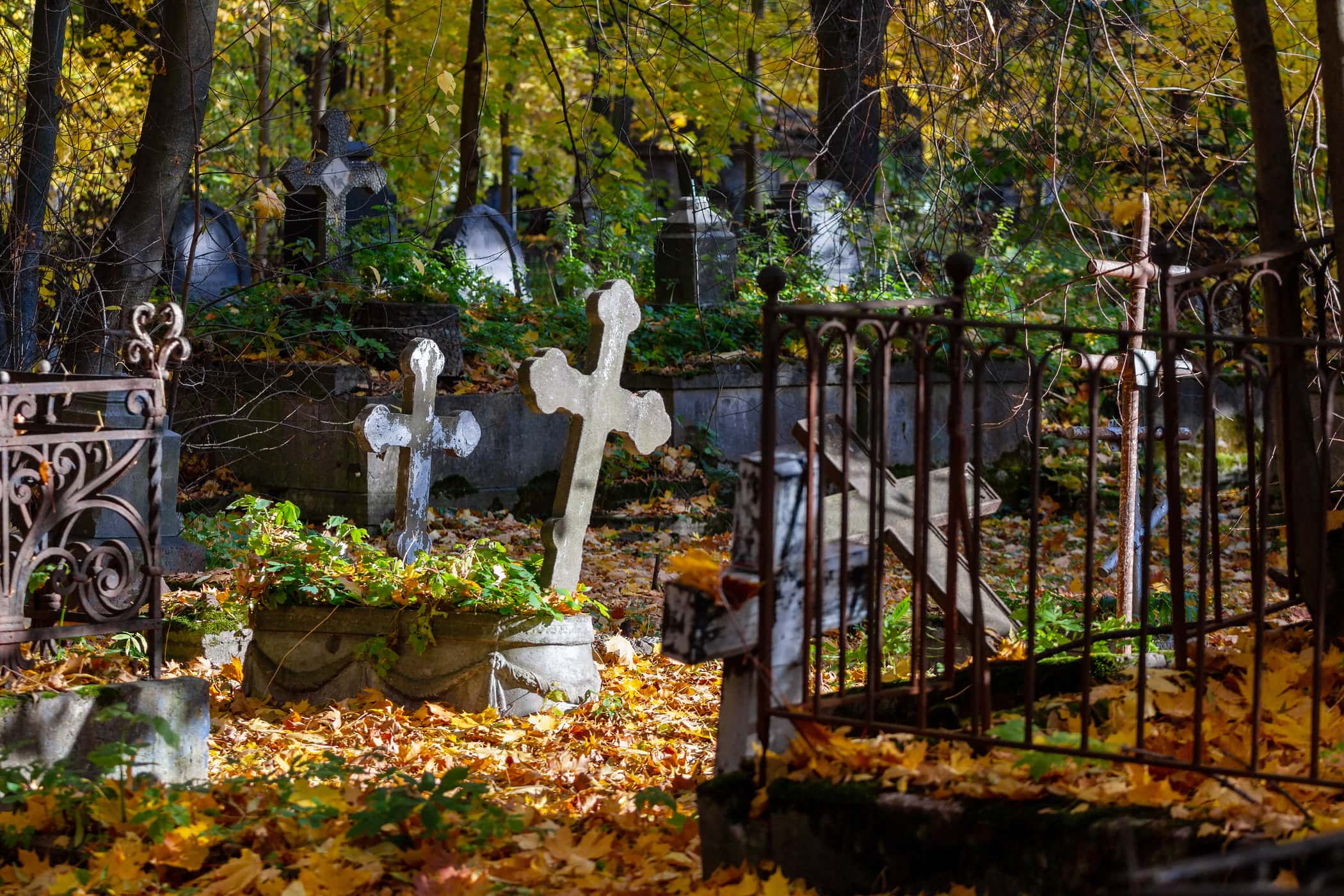 Zaniedbane groby. Co się dzieje, gdy grób przestaje być opłacany?